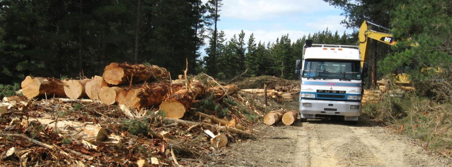 Safety Alert: Parallel Stacks - Log Transport Safety Council